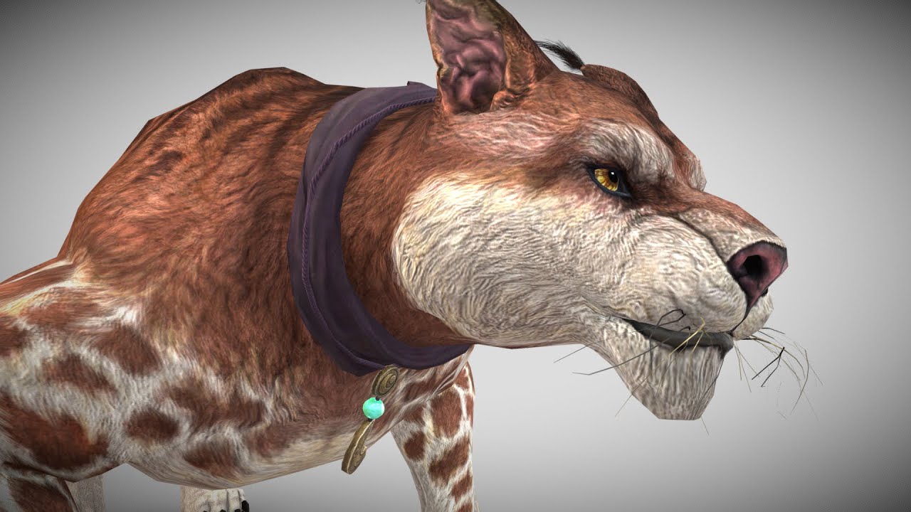 Caska (Smuggler) ∣ ESO › Characters › Aldmeri Dominion - YouTube