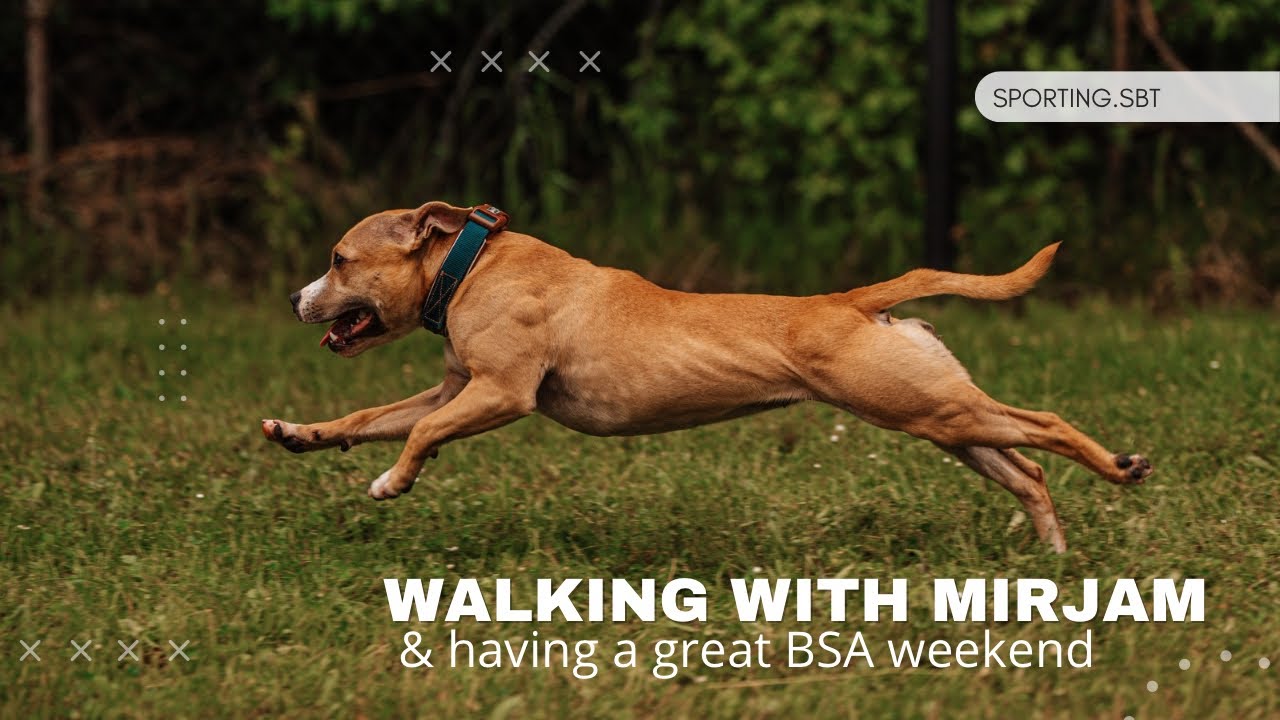 Walking with Mirjam & having a great BSA weekend. - YouTube