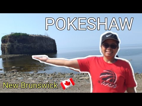 Amazing scenery at Pokeshaw New Brunswick Canada 🇨🇦 - YouTube