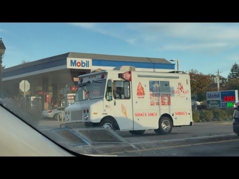 The White Kool Kat In The Road! - YouTube