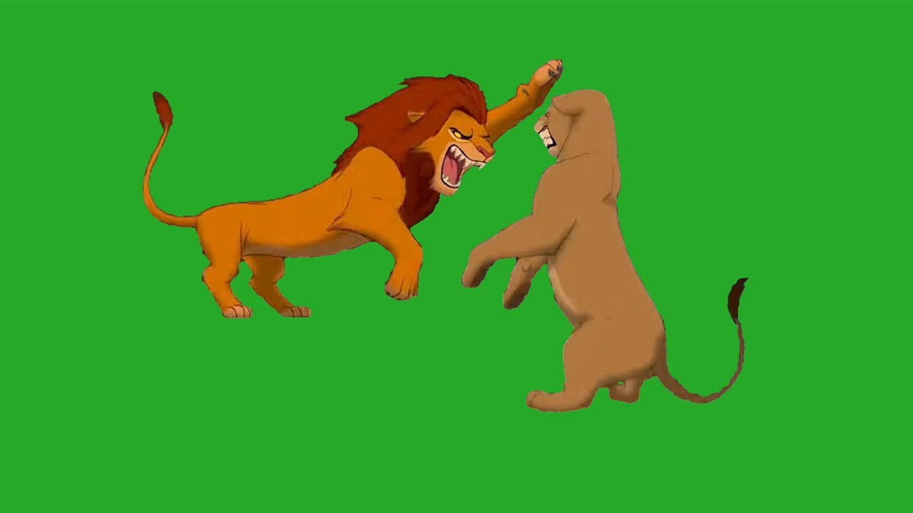 Simba And Nala Fighting (Free Masking) - YouTube