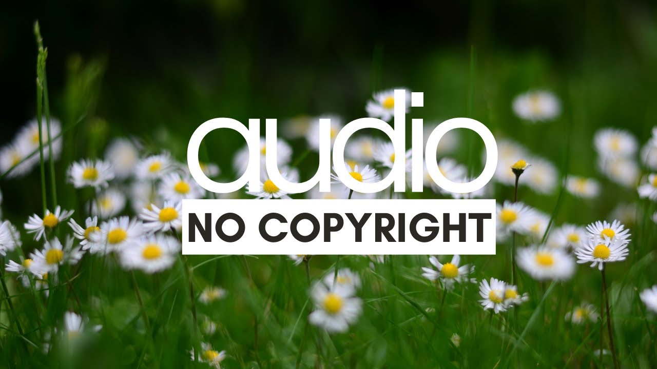 Sunnyville - Aylex ( Sound Audio No Copyright Music ) - YouTube