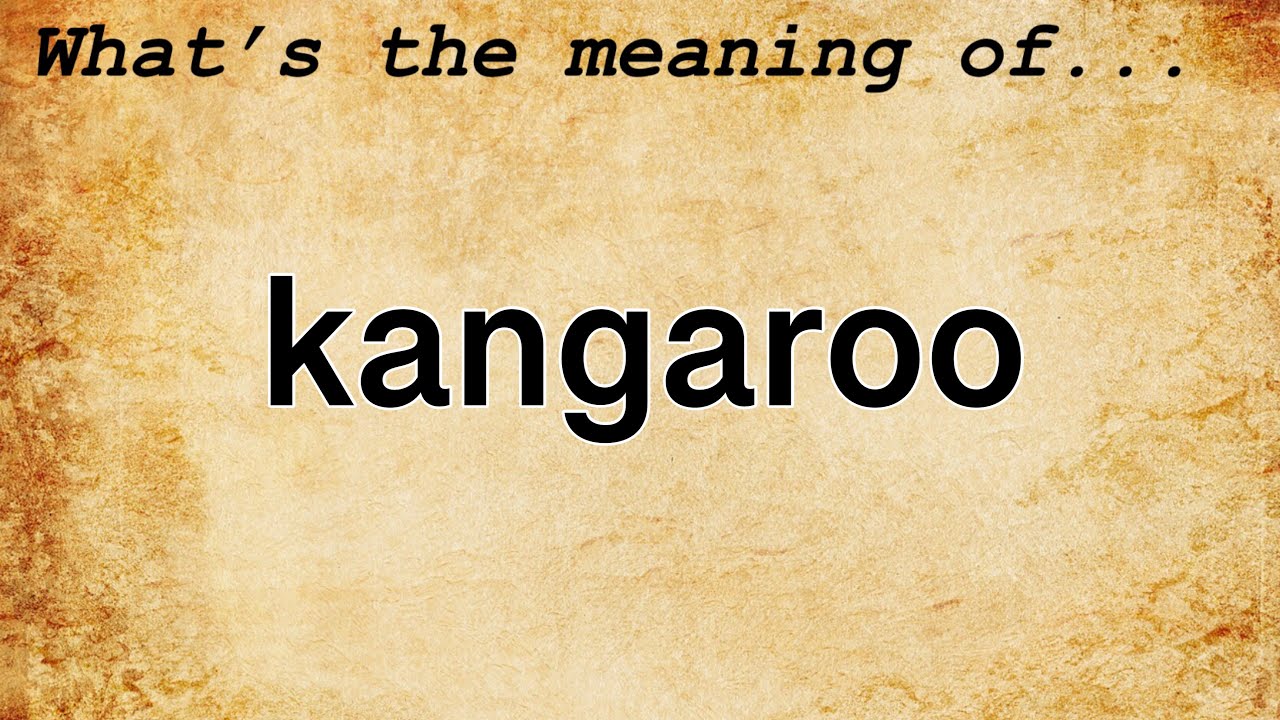 Kangaroo Meaning : Definition of Kangaroo - YouTube