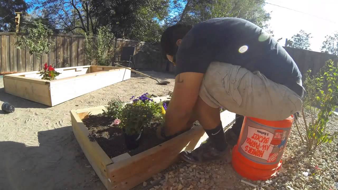 GoPro TimeLapse : planting a flower bed - YouTube