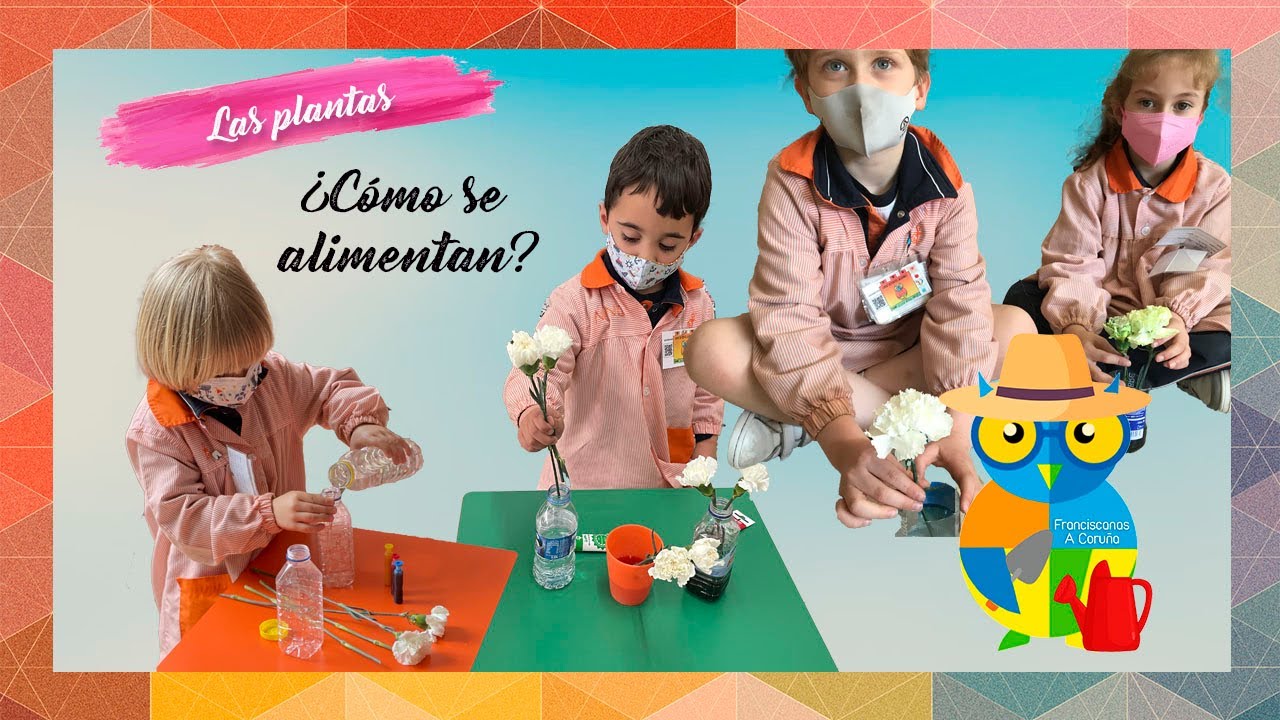 E. Infantil 🌷 ¿Cómo fabrican las plantas su propio alimento?🌱 - YouTube