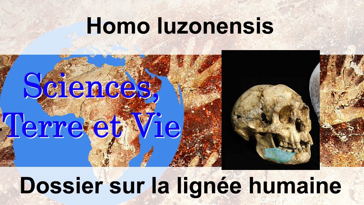 Homo luzonensis - YouTube