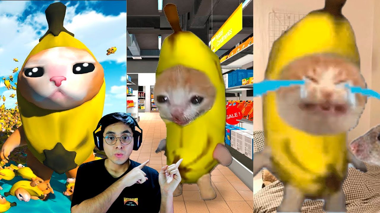 REACCIONO A LOS TIK TOKS VIRALES DE BANANA CAT | JehxTp - YouTube