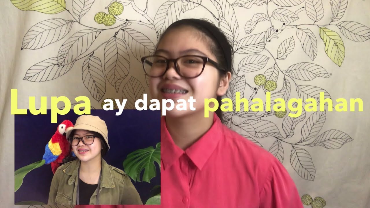 Pedosphere | Grade 11 Earth Science | Senior High school | Soil ...
