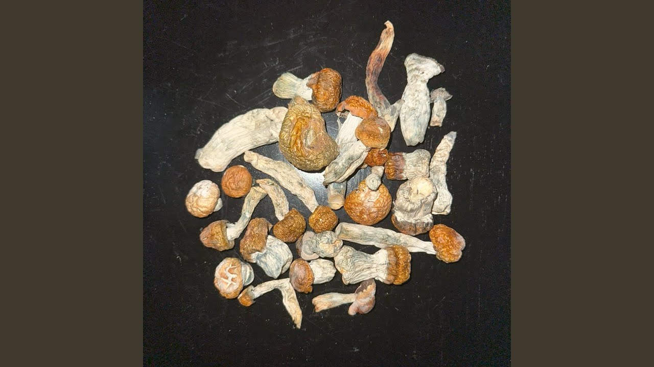 SUPER SHOTTY! (RELOADED) - YouTube