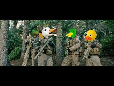 Ducks with guns - YouTube