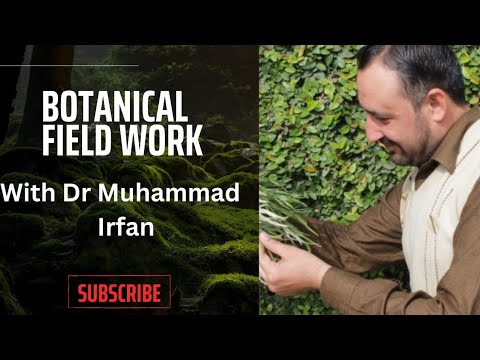 Botany field work | Plant taxonomy| Plant science - YouTube