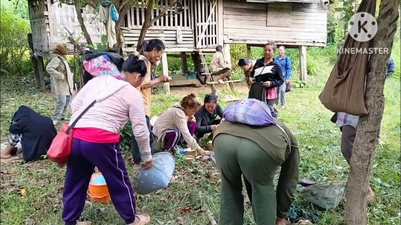 hnub no peb mus hlais nplejj 28/10/23 - YouTube