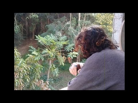 Mas isso nunca foi Amor - Raphael Righetti (Clipe) - YouTube