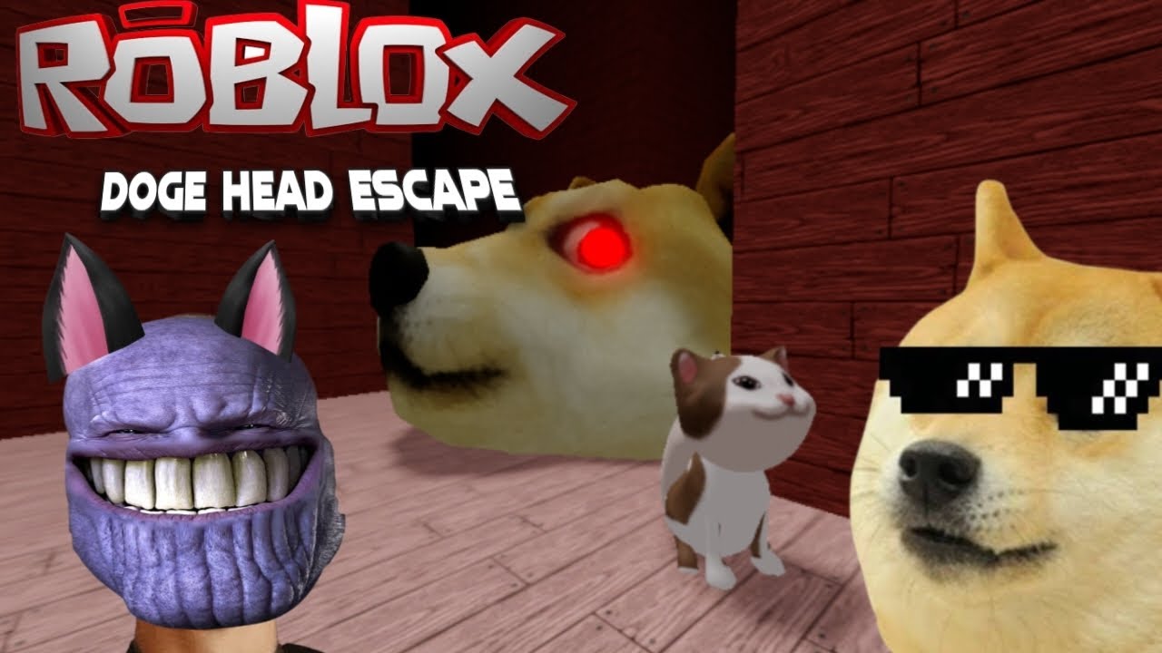 Roblox: Doge Head Escape หนีหมาช่วยลูกแมวพาไปหาแม่แมว - YouTube