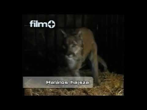 VHSRip Film+ ajánló