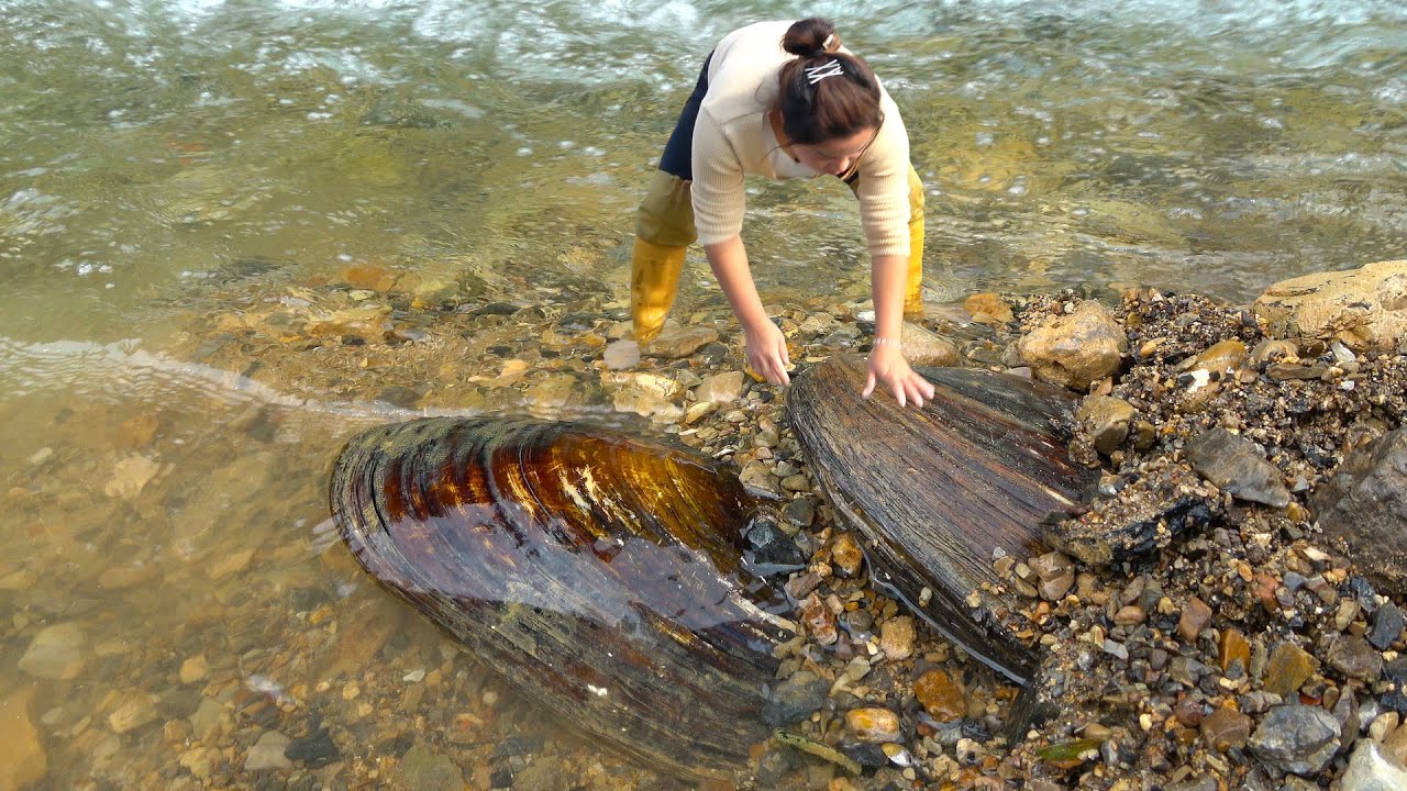 This group of big river clams collected a pile of pearls - YouTube