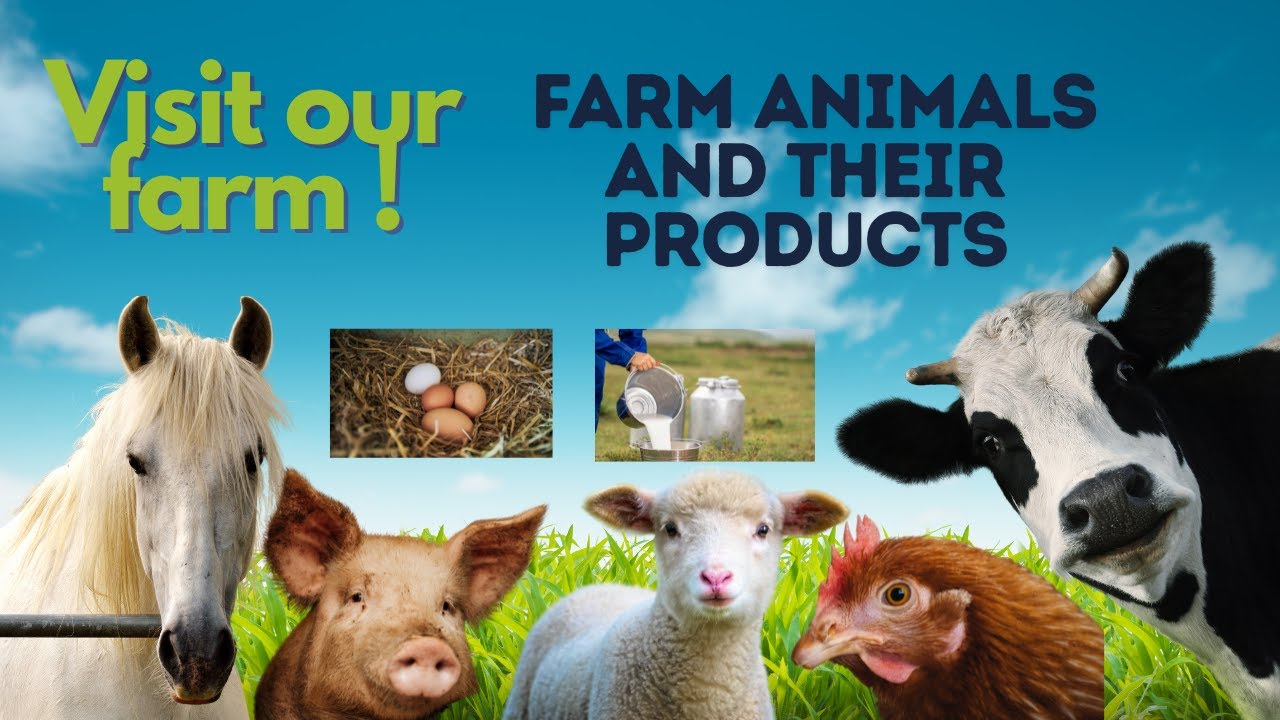 What is Farm| Farm Animals |What do Farm Animals give us?| Educational ...