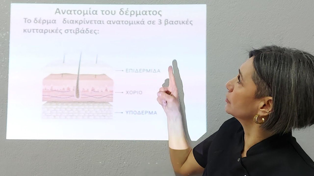 Ανατομία του δέρματος (Κομμωτική) - YouTube