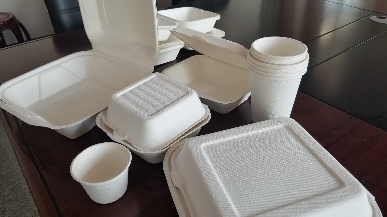 Producing Disposable Paper Takeaway Box Machine Paper Dish Making ...