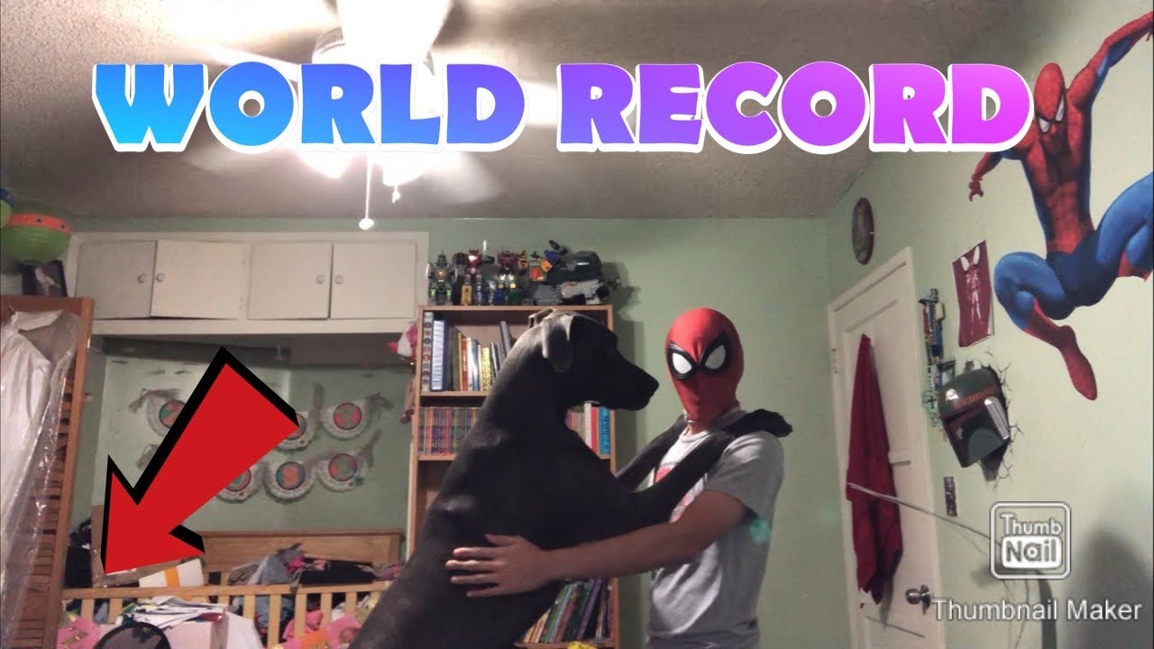 DIRTIEST ROOM WORLD RECORD(Room Tour) - YouTube