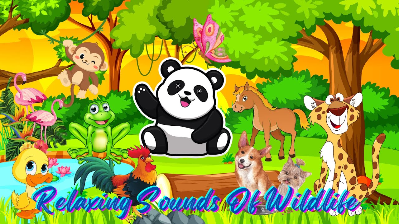 CUTE ANIMAL SOUNDS : monkey, flamingo, duck, frog, rooster, butterfly ...