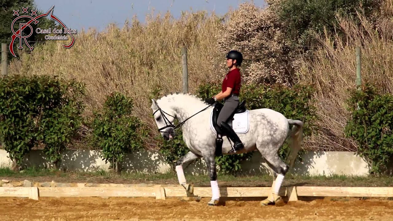 Divor do Rio Presentation - YouTube