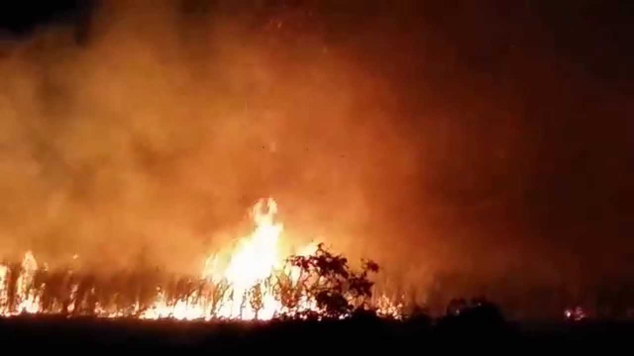Fields of Fire sugar cane burn - YouTube