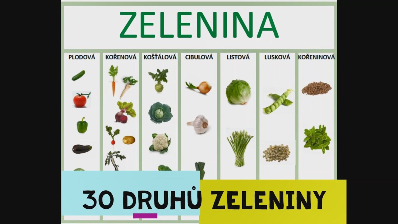 2. pdf karty ZELENINA ♠ 30 druhů zeleniny ♠ 3 druhy písma! - YouTube
