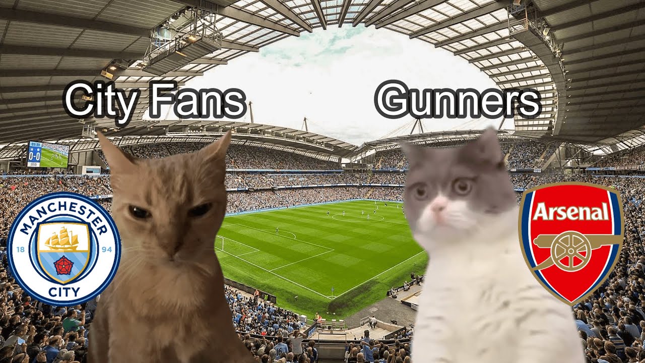 CAT MEMES Man City vs Arsenal - YouTube