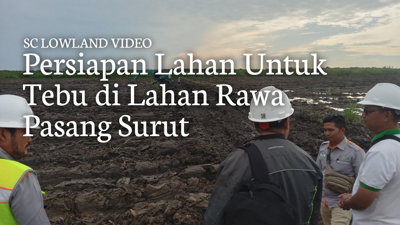 Persiapan Lahan Untuk Tebu di Lahan Rawa Pasang Surut - YouTube