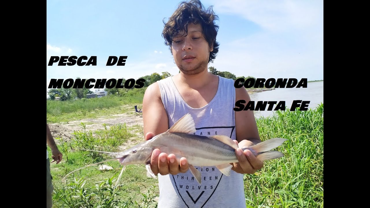 Pesca de moncholos en Coronda (santa Fe) - YouTube