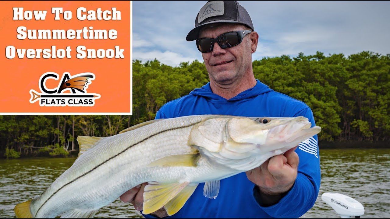 How To Catch Summertime Overslot Snook - Flats Class - YouTube