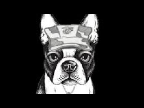 Day Of The Dog Alt - YouTube