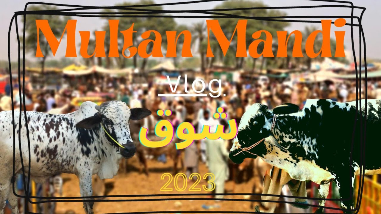 Multan Mandi | ♥️ شوق | dood me pani milata hay 😁😅😅 | Najjuu Vlogs ...