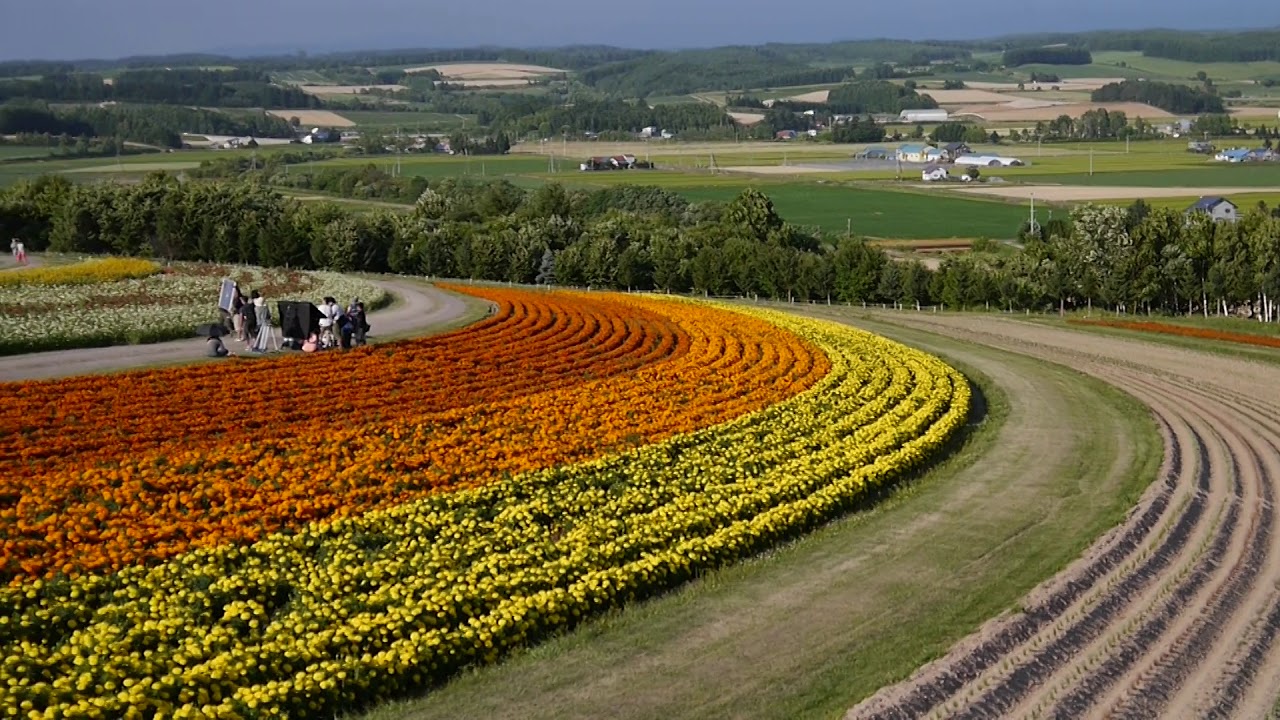 '13 07 23 Flowerland 2 - YouTube