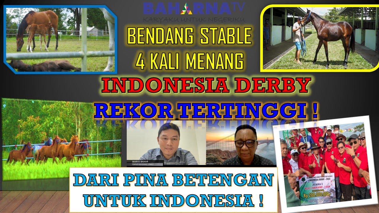 BENDANG STABLE 4 KALI MENANG INDONESIA DERBY | REKOR TERTINGGI | DARI ...