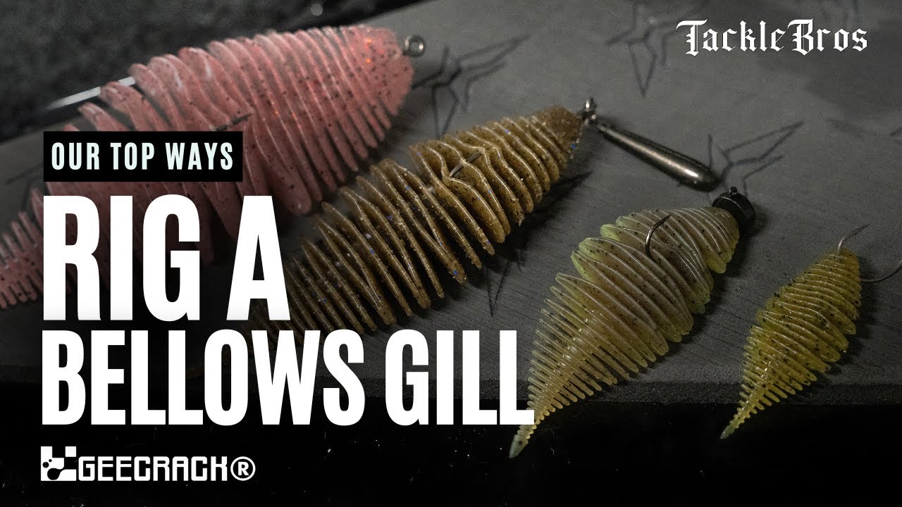 Geecrack Bellows Gill - The Ultimate Guide - YouTube