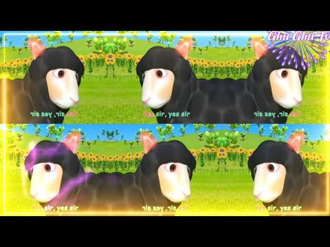 Baa baa black sheep (English Rhymes with Funny Vfx Effects - YouTube