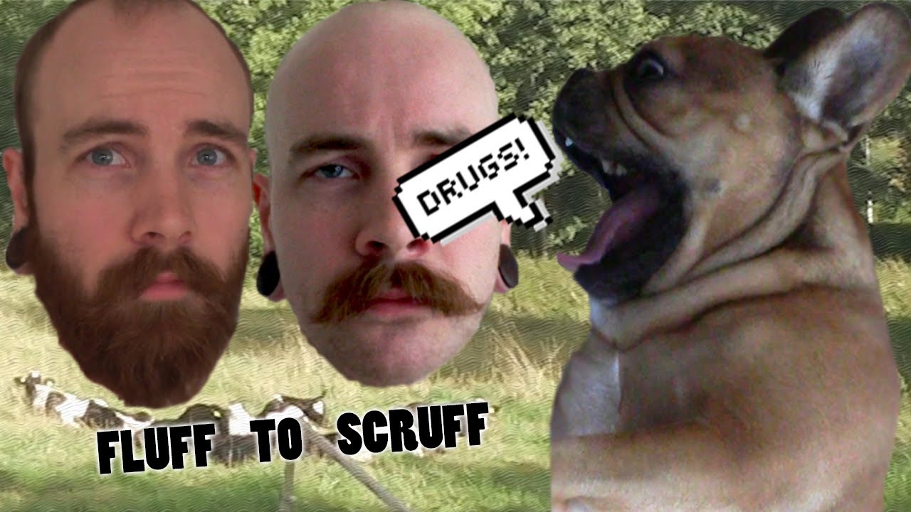 Vlog - From Fluff To Scruff - YouTube