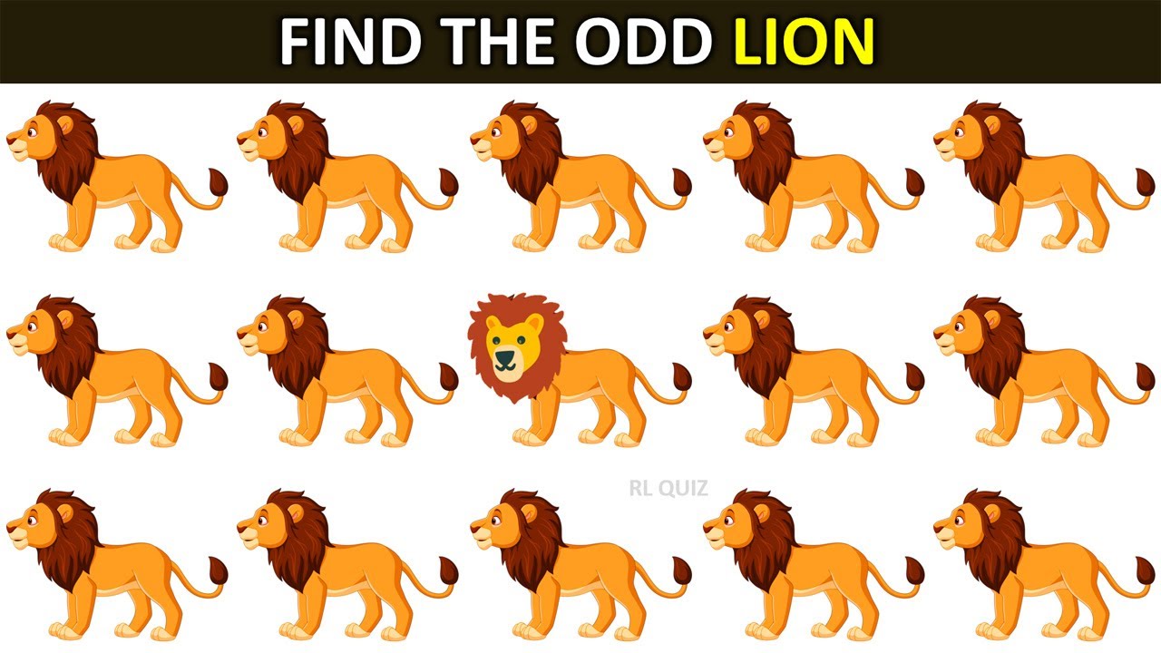 Find the Odd One Out - Lion Edition - YouTube
