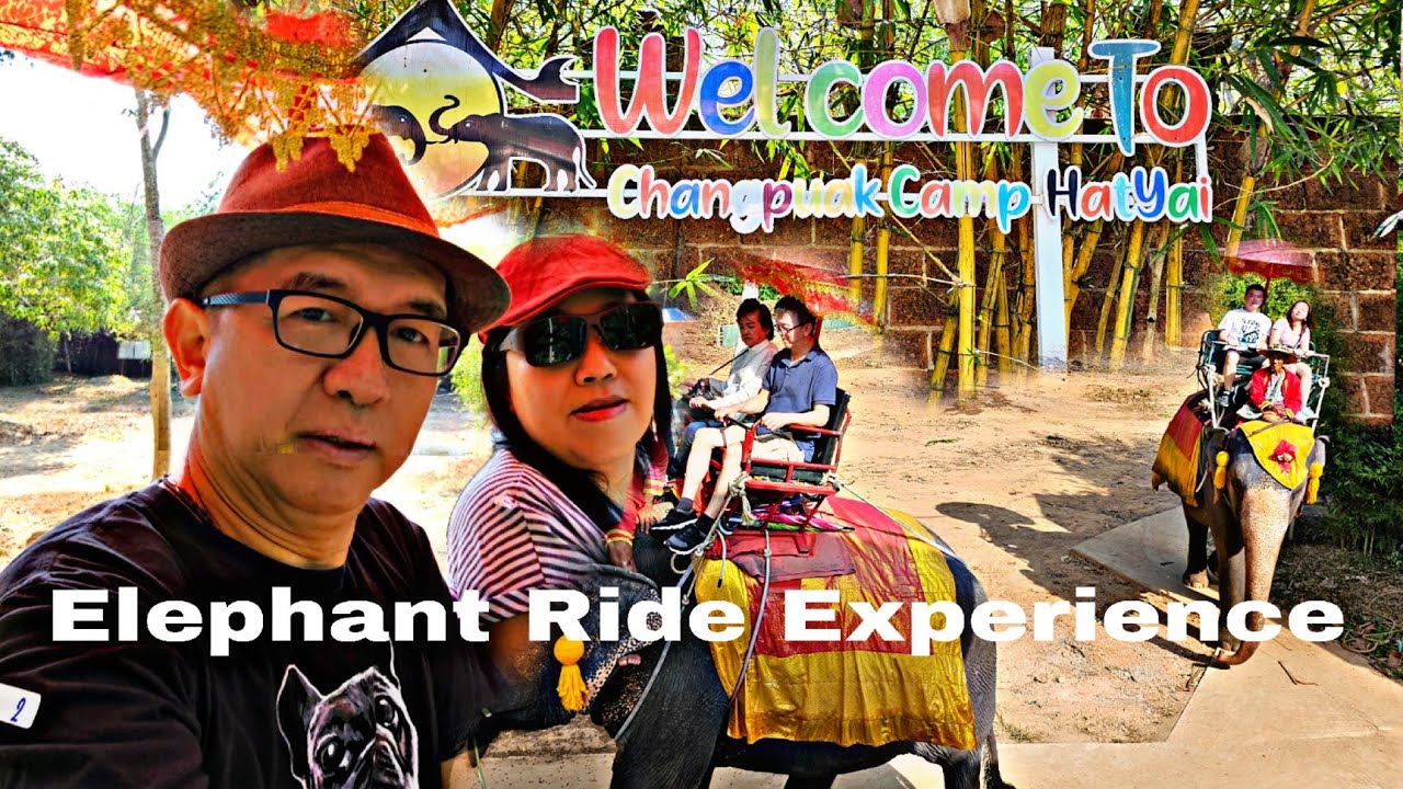 Free Entrance to Chang Puak Elephant Camp, Hatyai. Is it worth it ...