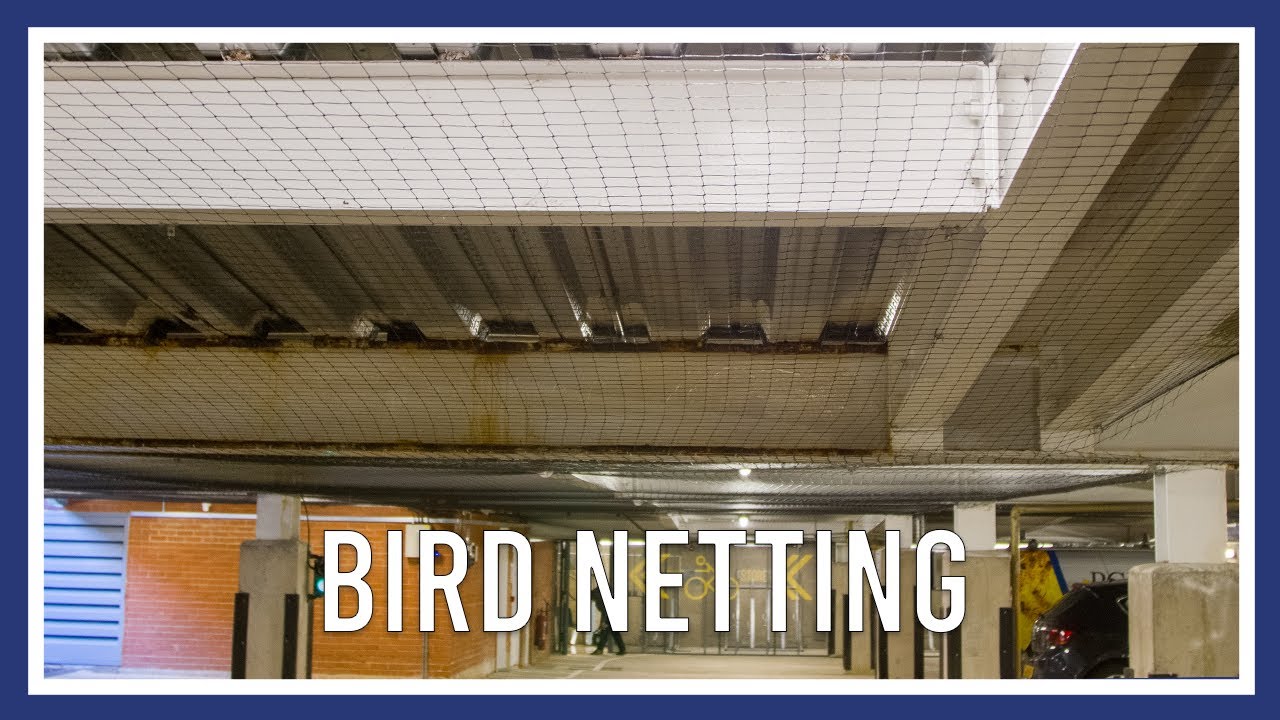 Bird proof netting (pigeon prevention from a large car park) - YouTube