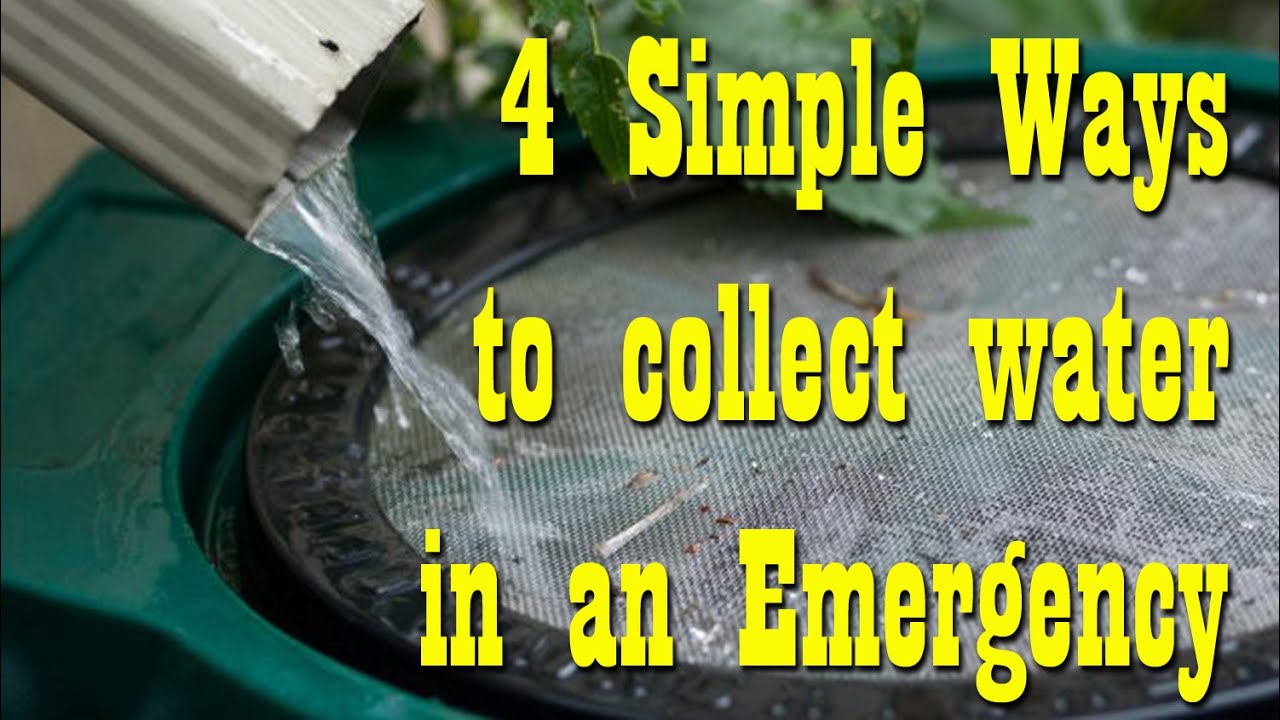 4 Simple Rain Water Collection Ideas for SHTF ~ Preparedness - YouTube