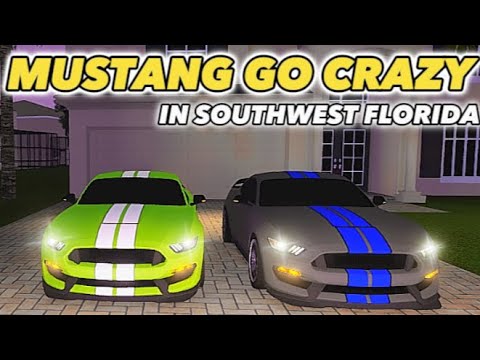 2 MUSTANGS GOING CRAZY IN SOUTHWEST FLORIDA! - YouTube