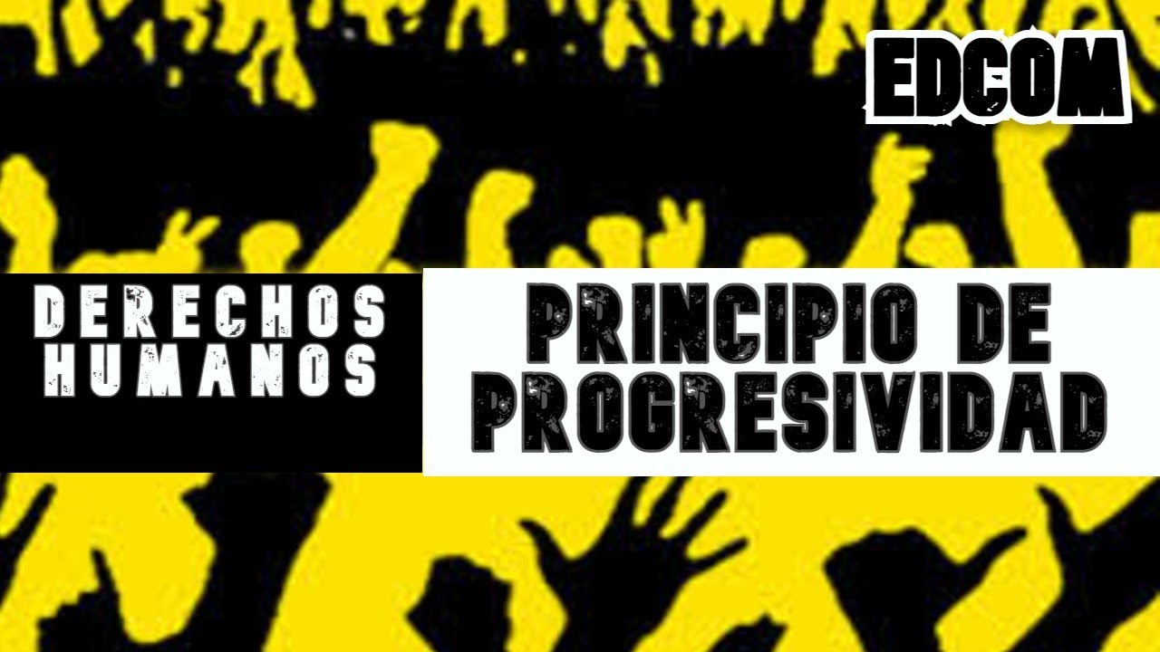 PRINCIPIOS DE LOS DERECHOS HUMANOS. UNIVERSALIDAD, INDIVISIBILIDAD ...