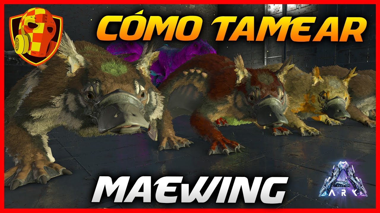 CÓMO TAMEAR un MAEWING - GENESIS 2 | ARK SIN MODS - YouTube