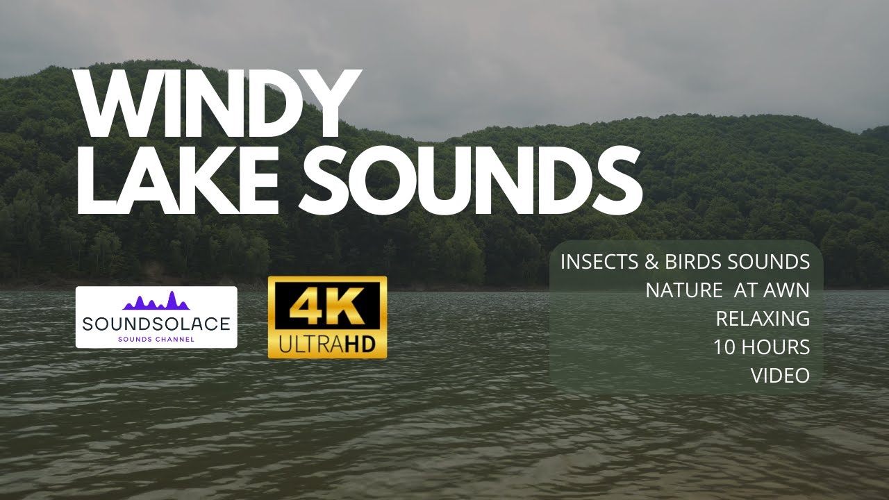 Windy Lake Sounds 🌊 Wind Noise & Waves Background Noises Of Nature ...