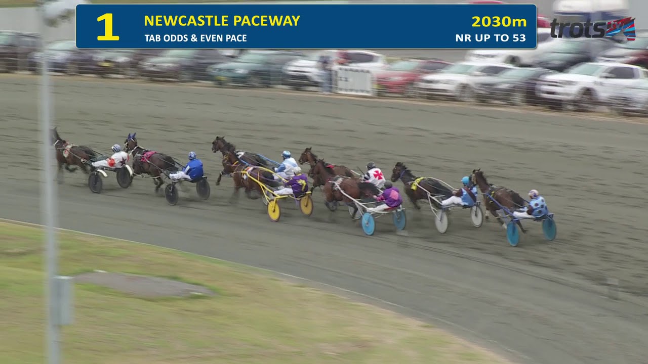 NEWCASTLE - 17/01/2020 - Race 1 - TAB ODDS & EVENS PACE - YouTube