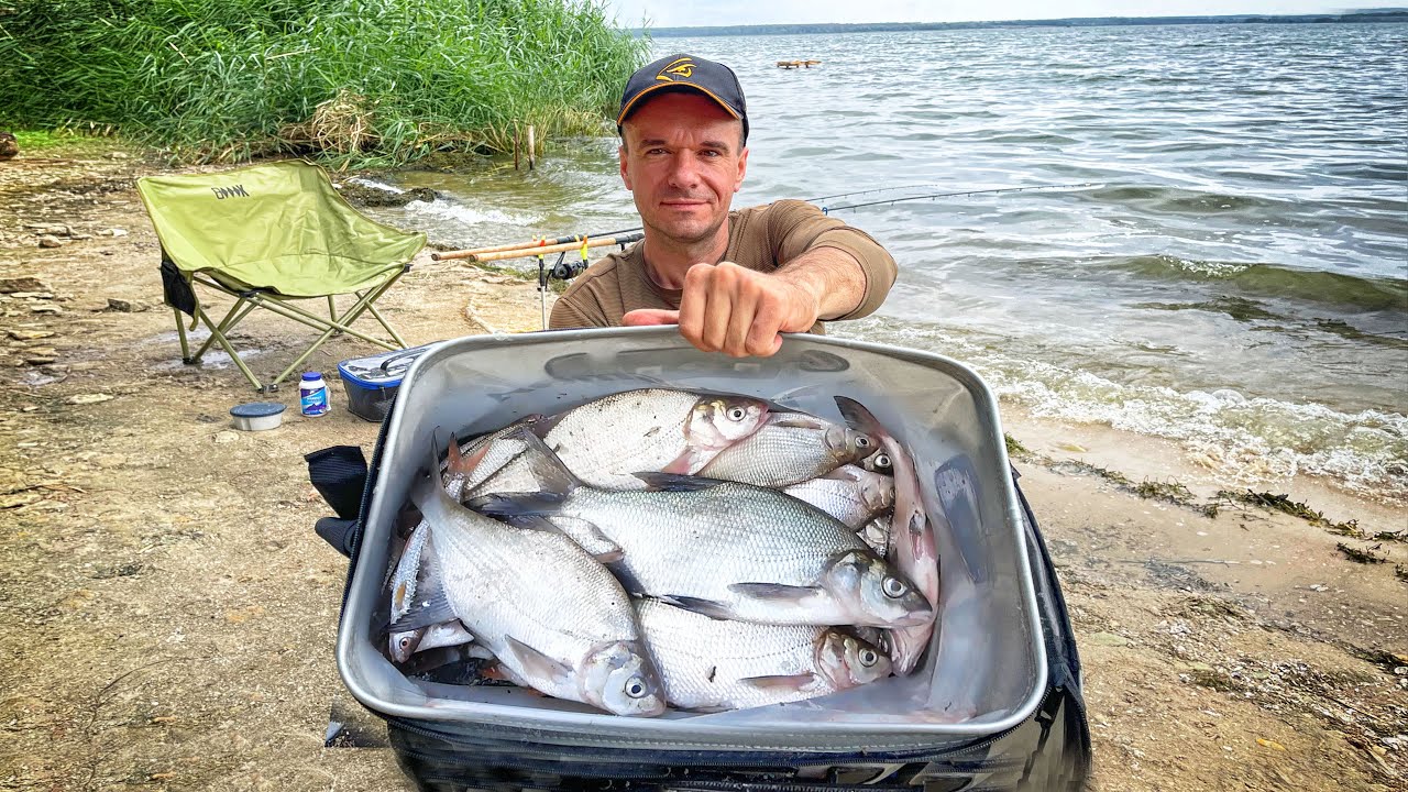 Bream Feeder Fishing: How to Catch More Bream on the Feeder - YouTube