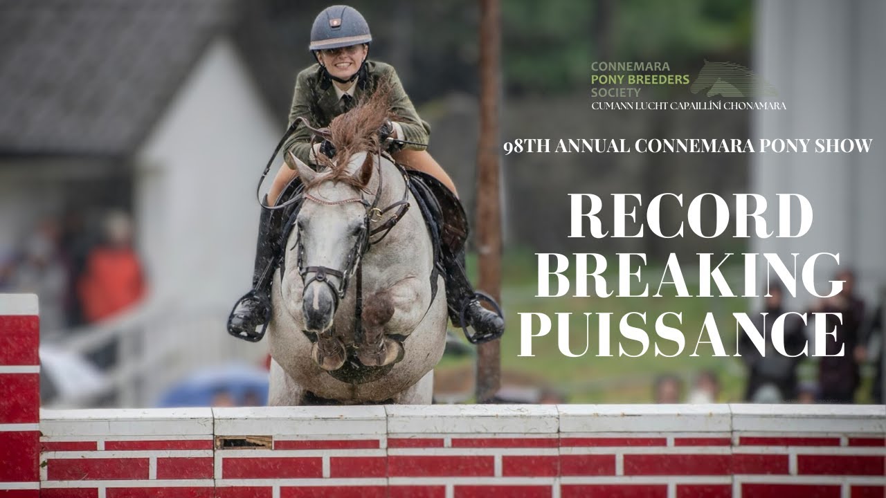 RECORD BREAKING PUISSANCE JUMP | 98th Connemara Pony Show - YouTube